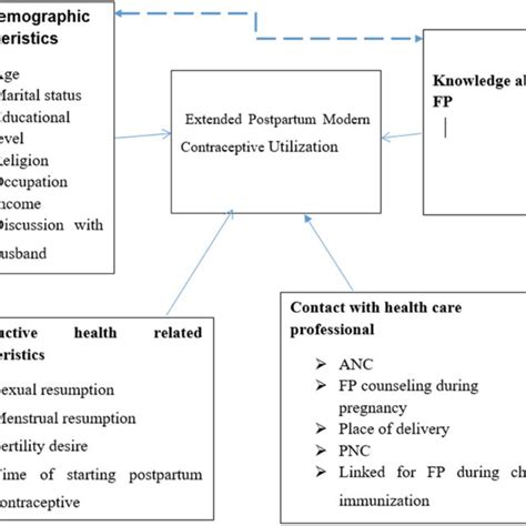 Conceptual Framework For Study Done On EPPP Modern Contraceptive Download Scientific Diagram