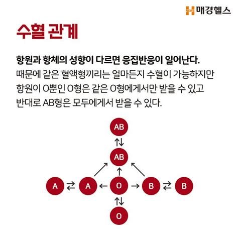 카드뉴스 혈액형 어디까지 알고 있니 네이버 포스트