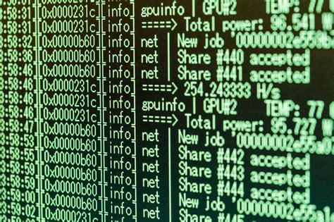 Cのメモリ管理【ヒープ領域とスタック領域】 フリーランスさばいばる