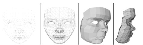 A 3d Face Vertices B 3d Polygonal Lines Forming The Face C A