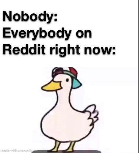 Duck Duck Duck Scrolller