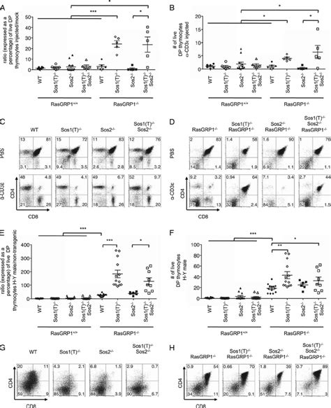 The Combined Actions Of Sos1 And Rasgrp1 Are Required For Negative