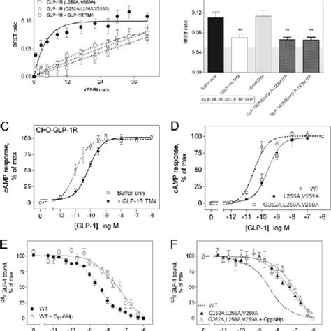 Pdf Glucagon Like Peptide 1 Receptor Dimerization Differentially Regulates Agonist Signaling