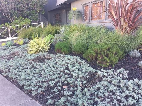 Low Maintenance Green Garden Ideas