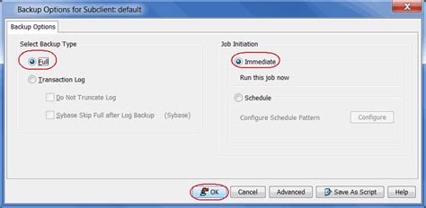 Getting Started Backup Sybase Idataagent