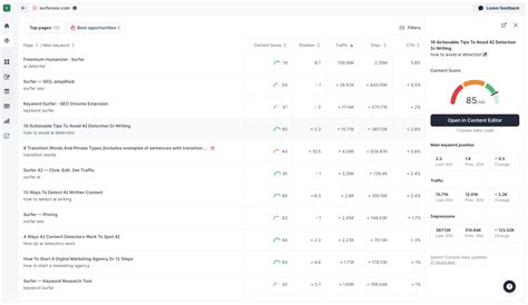 Surfer Content Audit — Audit Monitor And Optimize Your Sites