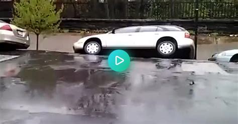 The Parking Meter Expired Album On Imgur