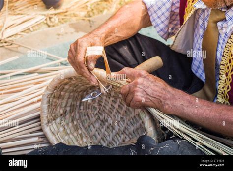 Basket Weaving With Twigs At Michael Birdwood Blog