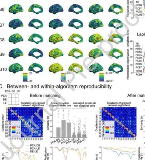 Profiling Of Functional Gradient And Its Reproducibility A Mapping Of Download Scientific