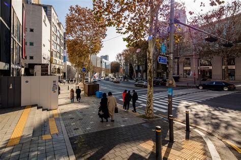 청담동패션거리 서울연구데이터서비스