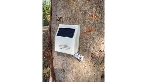 Outdoor Iot Sensing Network And Data Management Platform For Tree