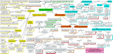 Tecido Conjuntivo Mapa Conceitual Citologia E Histologia