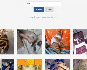Angular Instagram Components And Directives Angular Script