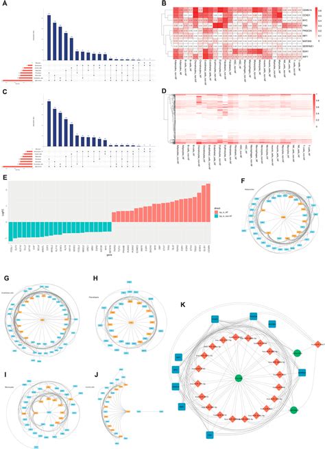 Integration Single Cell And Bulk Rna Sequencing Data To Reveal Senescence Gene Expression