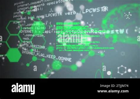 Animation Of Human Brains And Scientific Data Processing On Dark Background Global Science