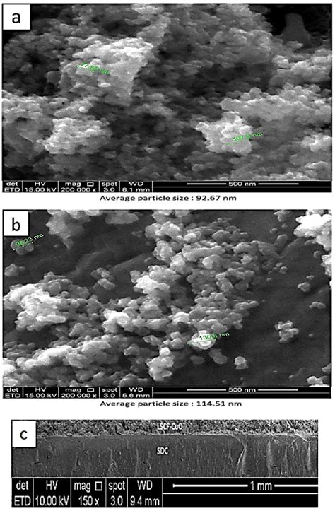 Sem Micrographs Of The Lscf Cuo A Calcined At 700 °c B Calcined At