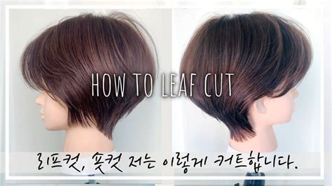 [숏컷 리프컷] 이해하기 쉽게 블럭의 조화로 연출하는 리프컷 그리고 숏커트 방법 [스탠다드 포인트] Youtube