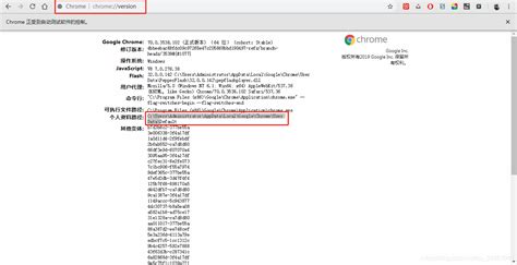 Python selenium 自动化 启用带插件的chrome浏览器调用浏览器带插件浏览器加载配置信息 腾讯云开发者社区 腾讯云