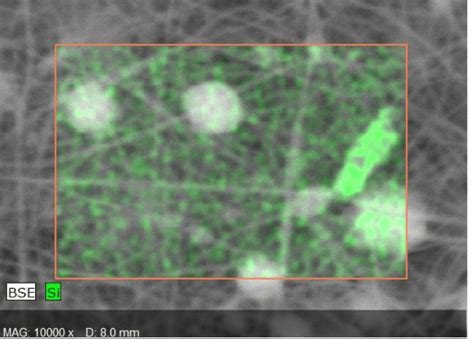 Edx Analysis Of Silica Si Mapping On As Spun Cloisite15a ® Nanofibers