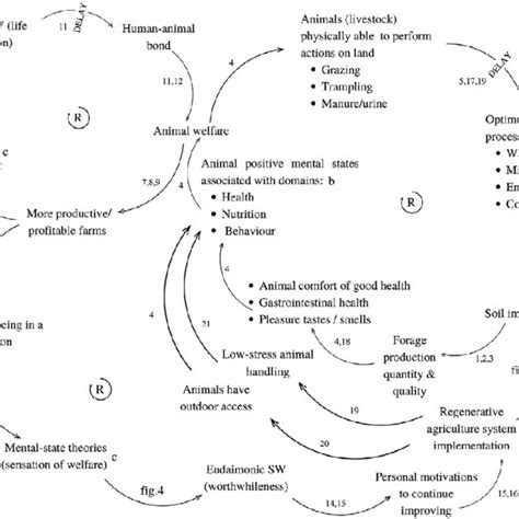 Causal Loop Diagram Of The Potential Causes Effects Of Implementing A Download Scientific