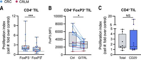 Cd4 D Th Til Respond To Gitr Ligation In The Absence Of Cd4 D Treg Til