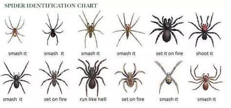 just a friendly public service announcement imgur