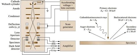 10 Schematical Drawings Of A Regular Sem Setup Left As Well As Of Download Scientific