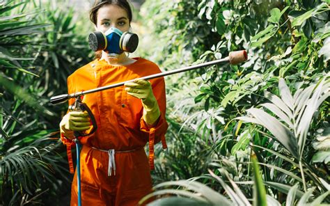 Top 7 Trends In Botanical Pesticide Verified Market Reports