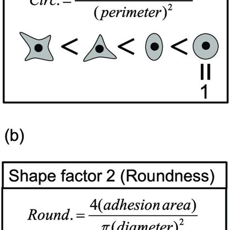 Schematic Deenitions And Equations Of Shape Factors A Shape Factor 1