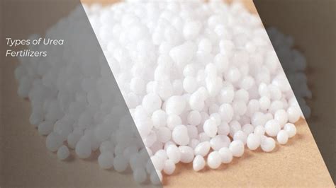 Types Of Urea Fertilizers