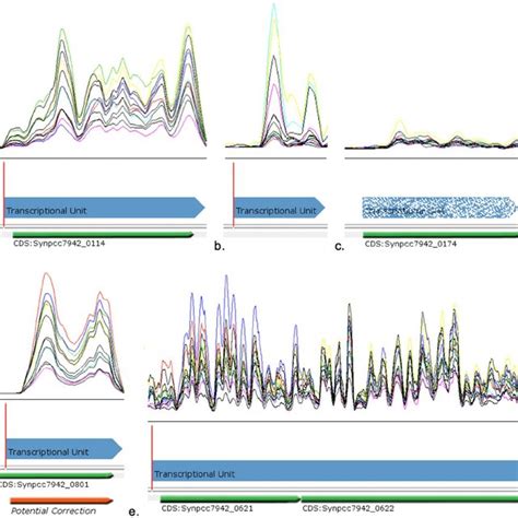 Summary Of Structural Annotation For Synechococcus Sp Pcc7942 Download Table