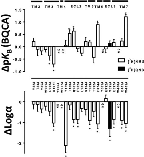 Effects Of M 1 Machr Mutations On Bqca Affinity And Binding Download Scientific Diagram