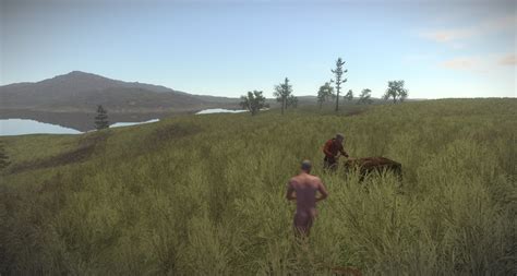 Friday Devblog 10 News Rust