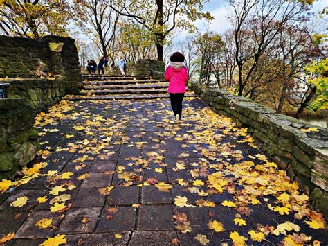 컨셉 겔러리 가을속에 여인