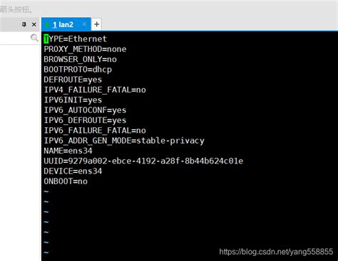 vmware虚拟机网卡lan区段模拟内网 vmware lan区段 csdn博客