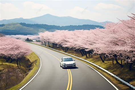 벚꽃이 만발한 텅 빈 도로를 달리는 자동차 고해상 관광지 구름 배경 일러스트 및 사진 무료 다운로드 Pngtree