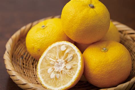 Nana 直七and柚子 柑橘リキュール【送料込み】 土佐料理 司[つかさ]・祢保希[ねぼけ]【公式通販】