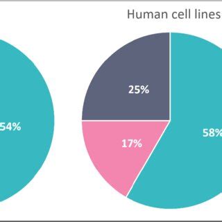 Recorded Sex Of 128 Kidney Cell Lines For All Species Left Found In Download Scientific