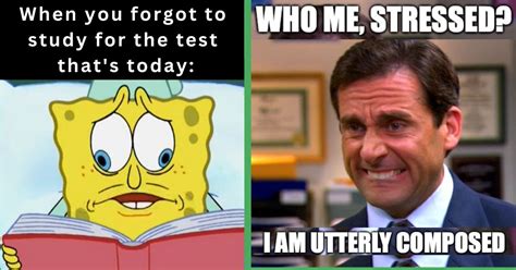 Northwestern University Memes