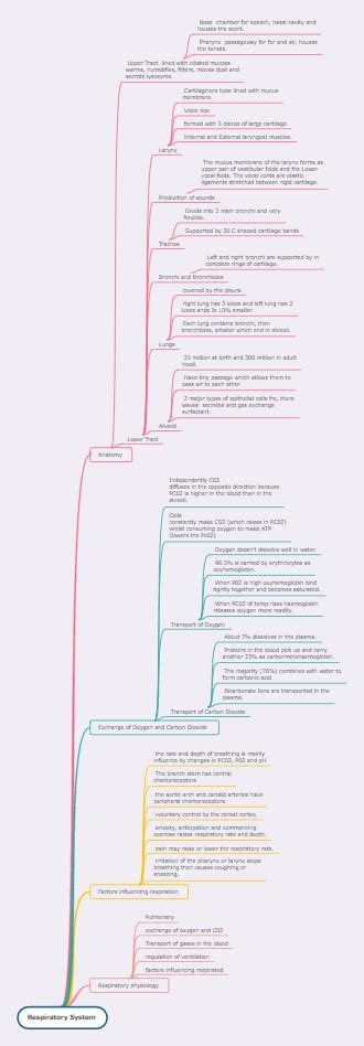 Respiratory System Mind Map Edrawmind