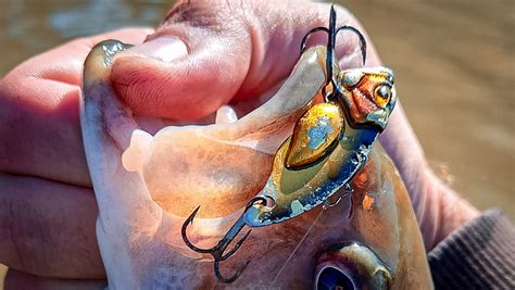 Blade Baits The Dos And Donts Of Heavy Metal Fishing Wired2fish