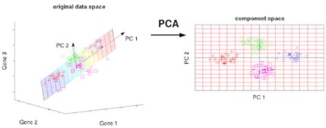 Understanding Word Embeddings Using Spacy Python