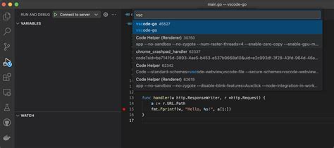 Debugging Debug A Go Application On Visual Studio Code Stack Overflow