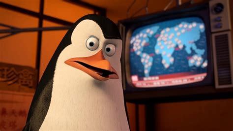 20 Facts About Kowalski The Penguins Of Madagascar