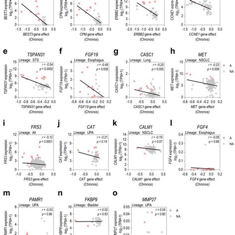 Assessment Of Gene Expression As A Predictive Biomarker Of Gene
