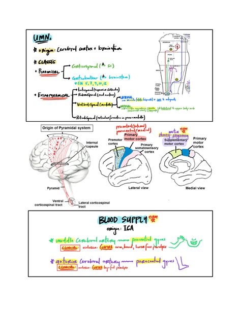 24 sg practice q s lecture notes and practice questions umns a