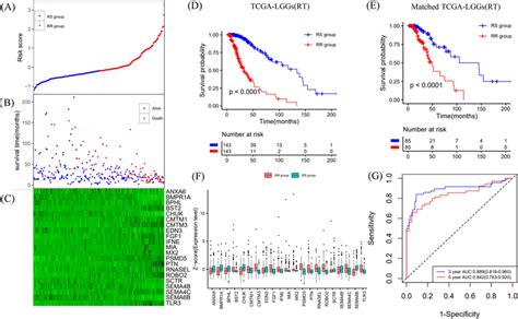 Construction Of The Os Prediction Model Based On 21 Genes In The Tcga Download Scientific