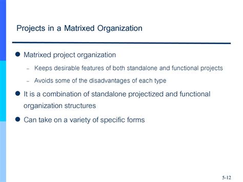 The Project In The Organizational Structure Ppt Download The Project In The Organizational Structure Ppt Download