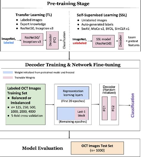 Figure 1 From Self Supervised Learning Featuring Small Scale Image Dataset For Treatable Retinal