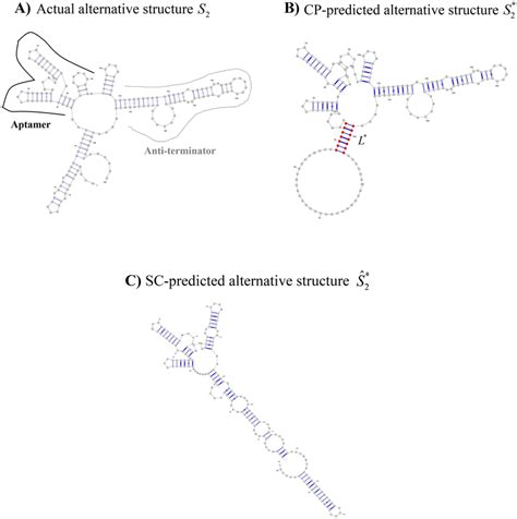 Prediction Of The Alternative Structure Of Tena Tpp Riboswitch Download Scientific Diagram